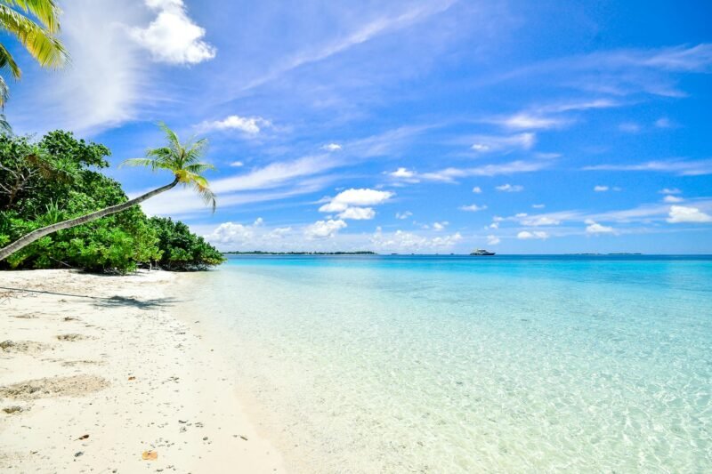 Your Ultimate Guide to Planning the Perfect Beach Vacation - Pure Travel