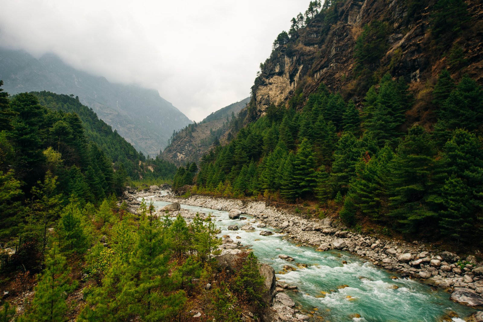 Explore Nepal’s Trails: A Complete Trekking Guide - Pure Travel