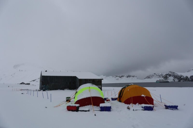 Visit Deception Island for an Unforgettable Adventure - Pure Travel