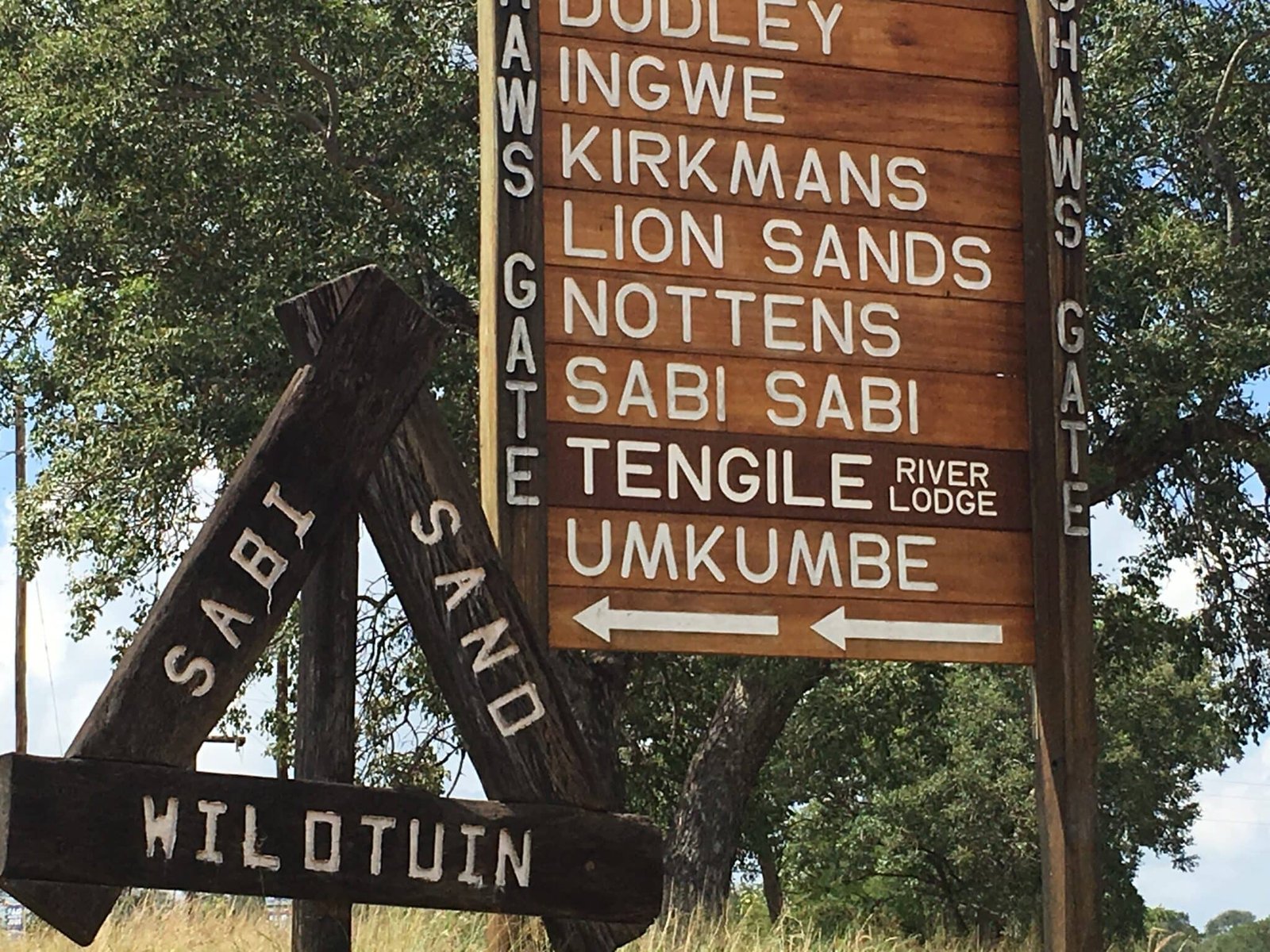 Review: Why Is a Sabi Sands Safari So Expensive - Pure Travel