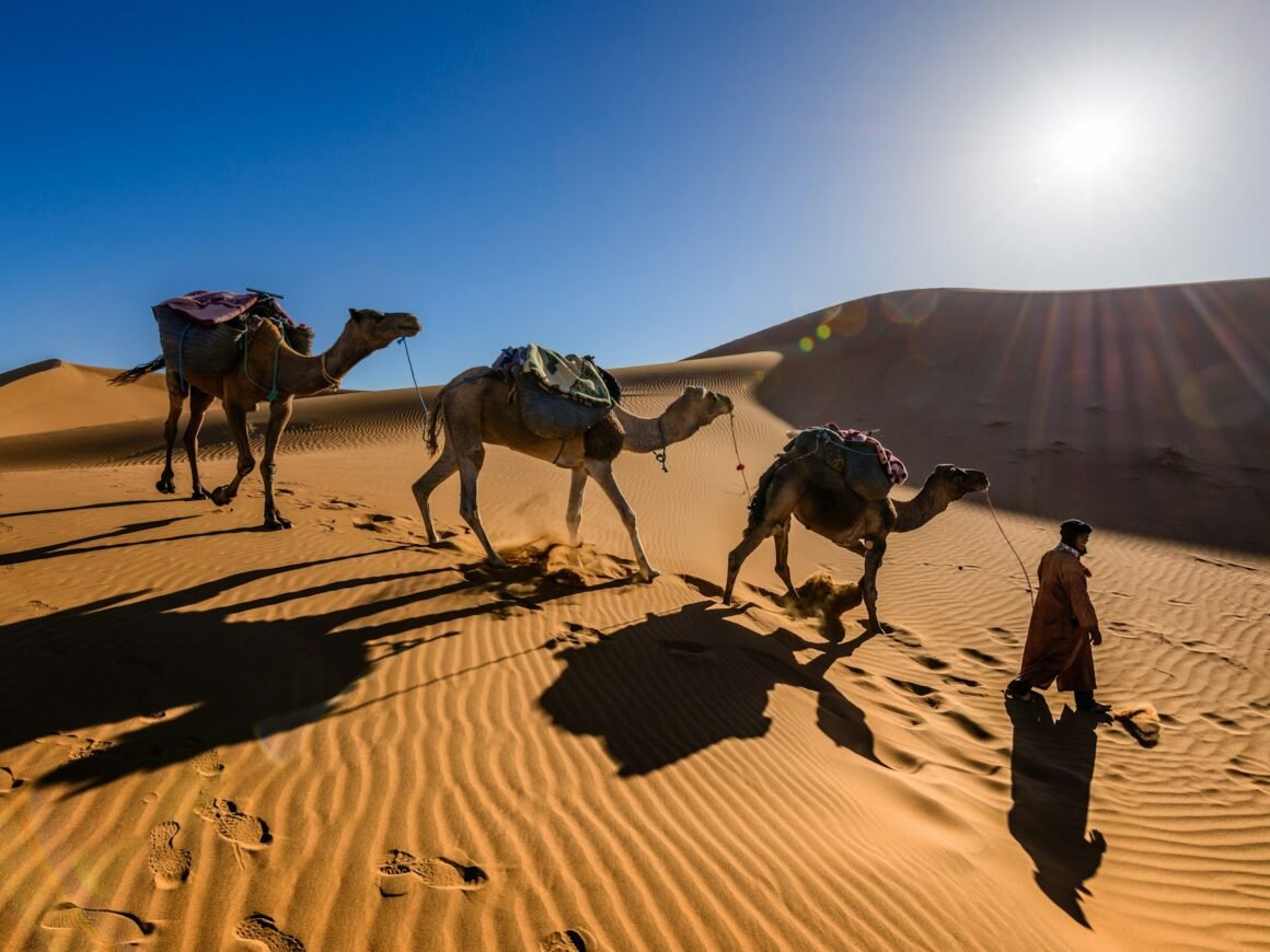 Family Travel Made Easy: Budgeting Tips for Your Next Big Trip - Pure ...