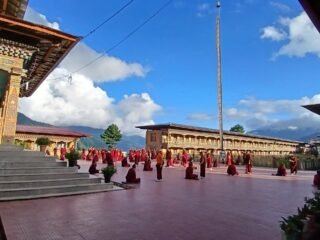 Understanding the Different Types of Wildfires and Their Causes - Pure ...